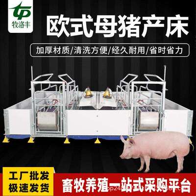 热镀锌加厚2.5全欧式母猪产床养殖场用母猪分娩床pvc隔板