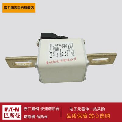熔断器170M4534 170M4535 170M4536 170M4537 170M4538 170M4539