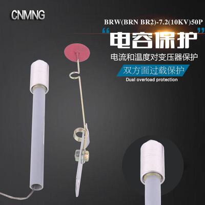 BRW-10KV-12KV/15A16A17A18A19A20A21A22A23A24A25A 高压熔断器
