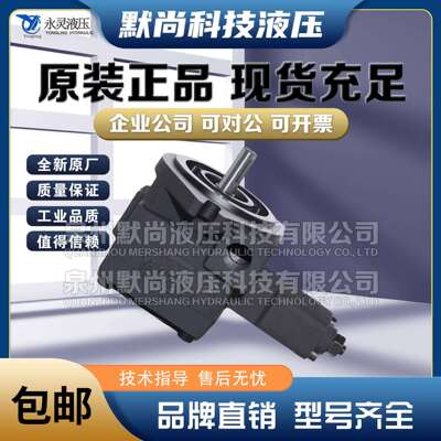 仙居永灵YLC叶片泵VP2-30-20/VP2-30-35/VP2-40-20/VP2-40-70油泵