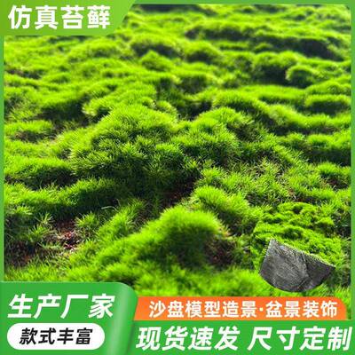 仿真苔藓草坪植皮仿真草皮草坪青苔石 植物苔藓 仿真植物墙景草坪