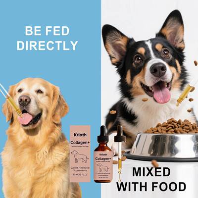 Kriath Collagen Drops for Pets - Gentle Care for Your Dog's