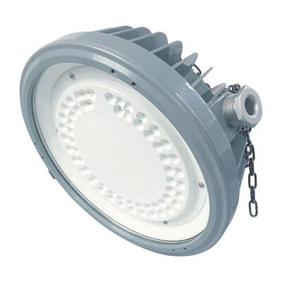 通明电器TORMIN BC9302P LED防爆灯加油站石油化工平台泛光灯具