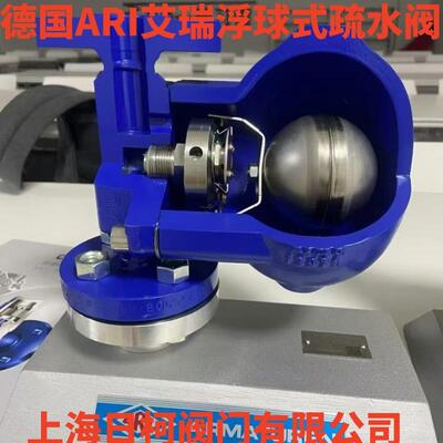 德国ARI艾瑞Y型过滤器_FIG12.050_FIG52.059_FIG35.080_法兰连接