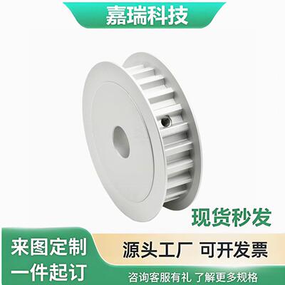 TSA5M高扭矩同步带轮-5M型TAA5M-150 200 250两面平铝氧化皮带轮