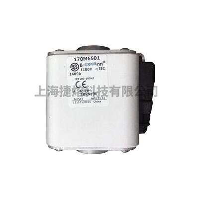 170M6501 170M6540 快速熔断器 保险丝 电子元器件 量大价优