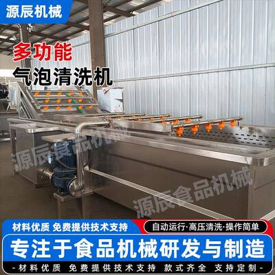 全自动气泡清洗设备韭菜青葱净菜加工设备高压喷淋清洗机加工设备