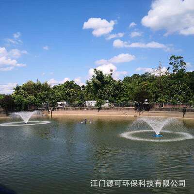 提水式喷泉曝气机-喇叭花造型 304/316不锈钢七彩灯光喷泉2.2kw