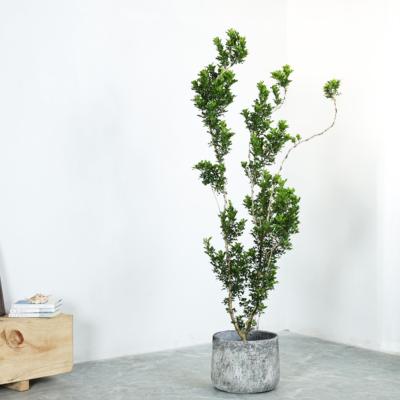 水泥花盆家用覆古艺术落地户外庭院阳台创意北欧风极简大号镁泥盆