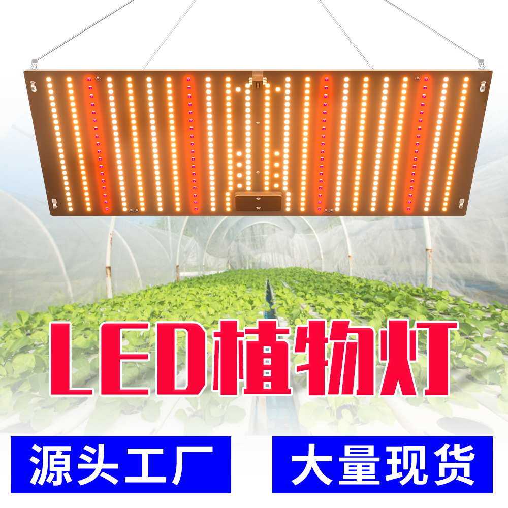 全光谱led植物生长灯家用多肉上色防徒长室内绿植花卉育苗补光灯