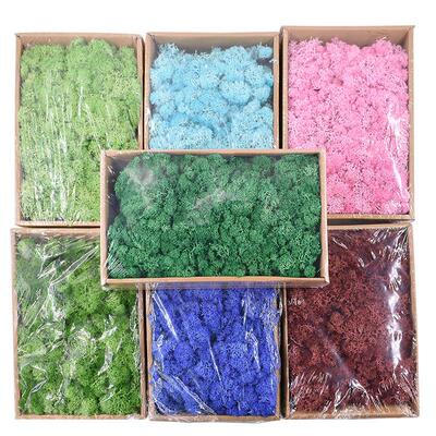 High Quality Artificial Green Plant Immortal Fake Flower Mos