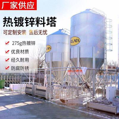 料线自动化输送养殖饲料料塔自动化镀锌料塔料线养殖热镀锌料塔