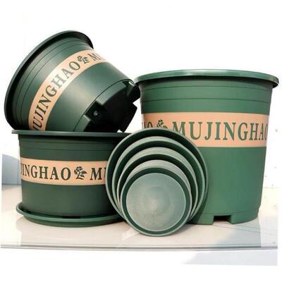 More large flower pot plastic plant trees green plant POTS