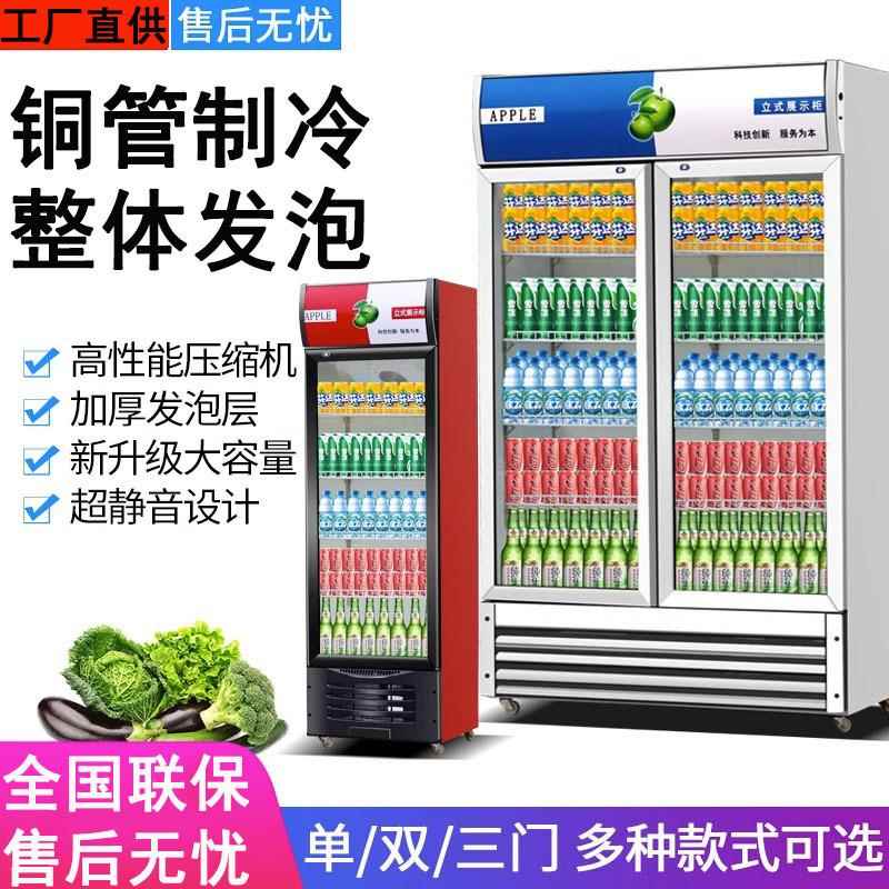 啤酒柜冷藏展示柜立式商用冰箱单门保鲜柜饭店超市冷柜双门 饮料