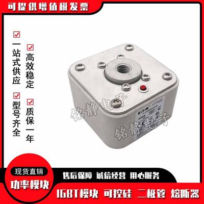 170M6408 170M6409 170M6410 170M6411巴斯曼熔断器 170M6412