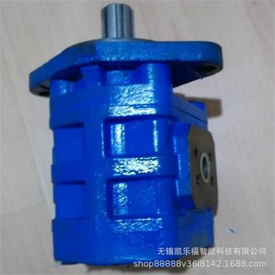 CB-KPR32-B2F2H1,CB-KPR32-B2F2H2价格 装载机油泵 起重机油泵