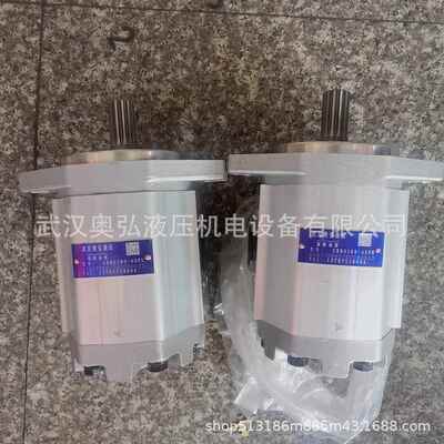 CB100-A油5FR武液汉奥弘液压齿轮泵 搅拌车压泵BZM维H修柱塞泵，