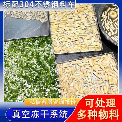 河南灵LOI宝苹果冻干机低耗真能空干燥机械级圆筒食品用料冻干设