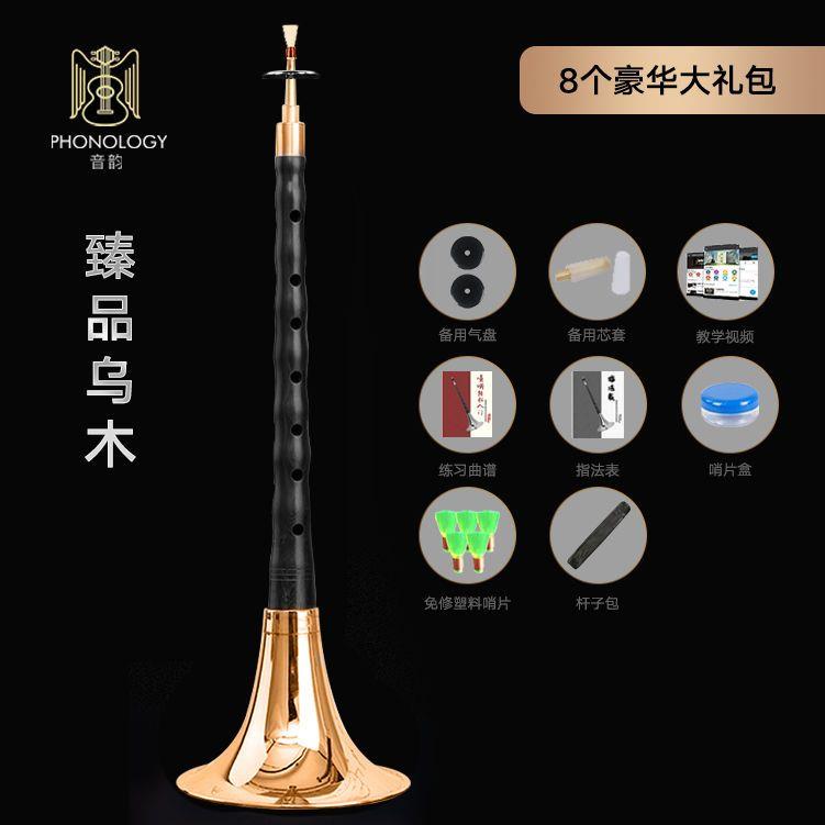 高档演奏专业木乌木黑檀唢呐器全套d调D调初学儿童入门大小者号喇