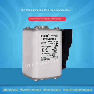 伊顿快速保险丝保险丝170m3462 3463 3464 3465 3466 3467 3468