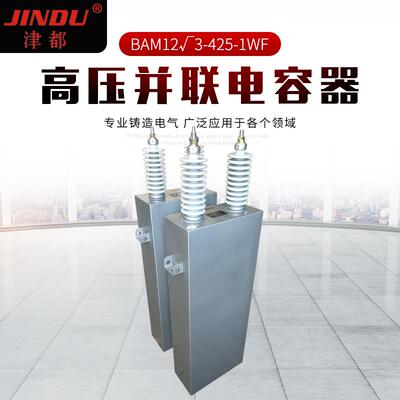 高压并联电容器BAM12√3-425-1WF 集合式高压并联电容器 现货