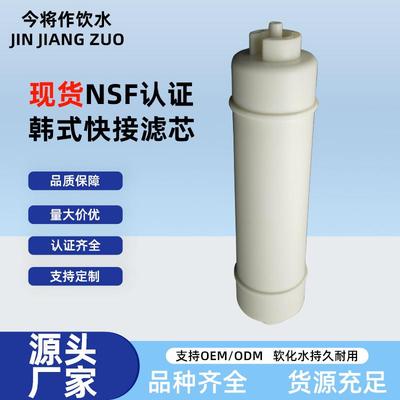 NSF认证10寸韩式快接滤芯净水器滤芯快接滤芯除菌超滤过滤器