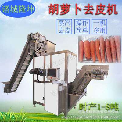 隆坤全自动果蔬去皮机 西红柿番茄削皮机 大型商用不锈钢脱皮设备