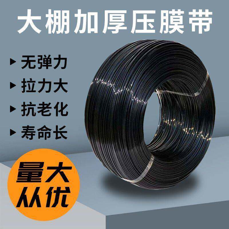大棚配件大全压膜线加厚黑色带鱼线丝抗老化压膜绳托膜带压棚专用