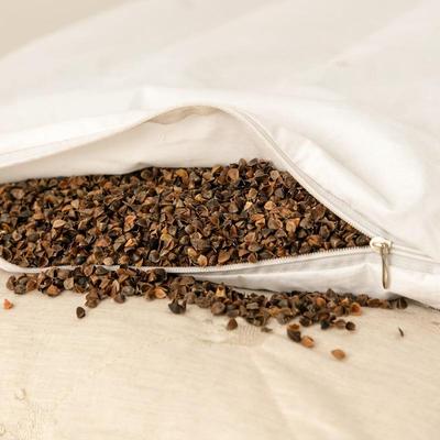 2025新款天有机彩棉可拆TXA洗枕荞麦枕单人护颈枕全棉民宿头热中