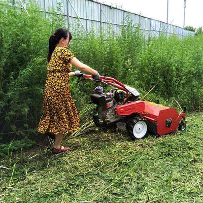 荒地除草灭草机60宽柴油手扶碎草机手推式果园碎草还田机厂家