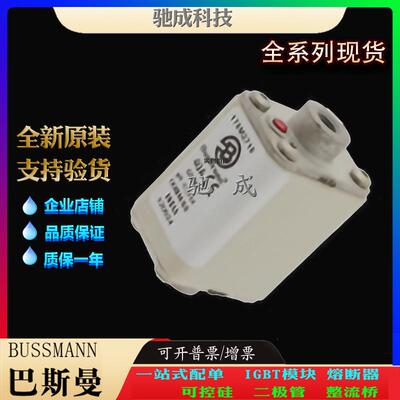 巴斯曼170M2714 170M2715 170M2716 经销直销价优 快熔保险丝