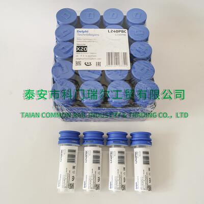 原装现货L240PBC油嘴用于BEBE4D14101喷油器