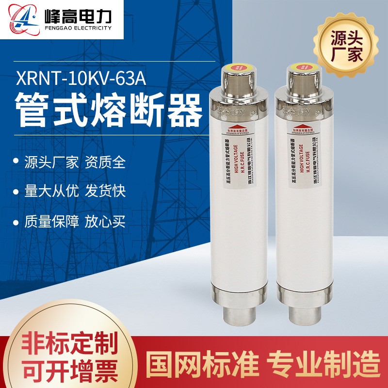 供应高压管式熔断器XRNT-10KV-63A高压交流熔断器互感器防爆