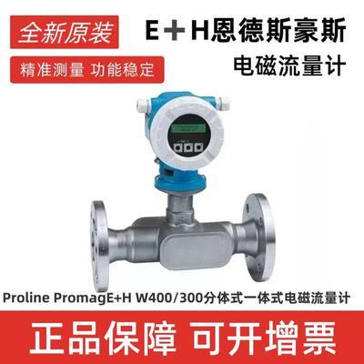 全新E+H恩德斯豪斯电磁流量计50W53W50H53H50P10W5W4C5P3B