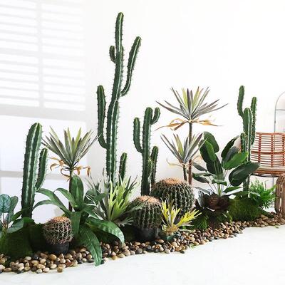 仿真仙人掌堆沙生风格植神造景搭配龙柱门店景ELJ店铺装物饰摆件