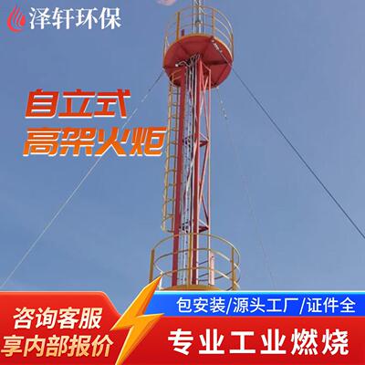 炼厂尾气架火炬 石油炼化废气焚烧 炼油厂安全放空火炬设备