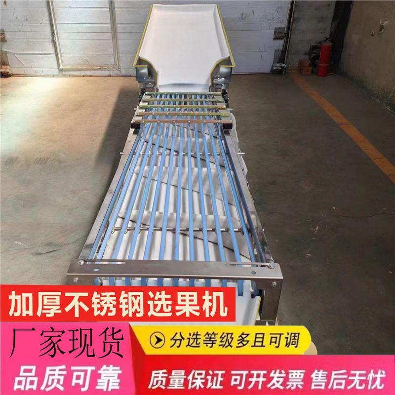 新款不锈钢选果机圣女果百香果李子分拣机核桃分选机榔脐橙分级机