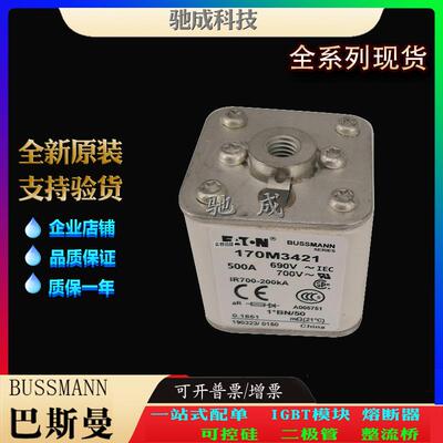 巴斯曼170M3421 170M3422 170M3423 销售供应零售 特种保险丝