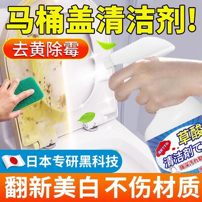 草酸清洁剂瓷砖洗厕所浴室化妆室地板强力去污除垢高浓度479
