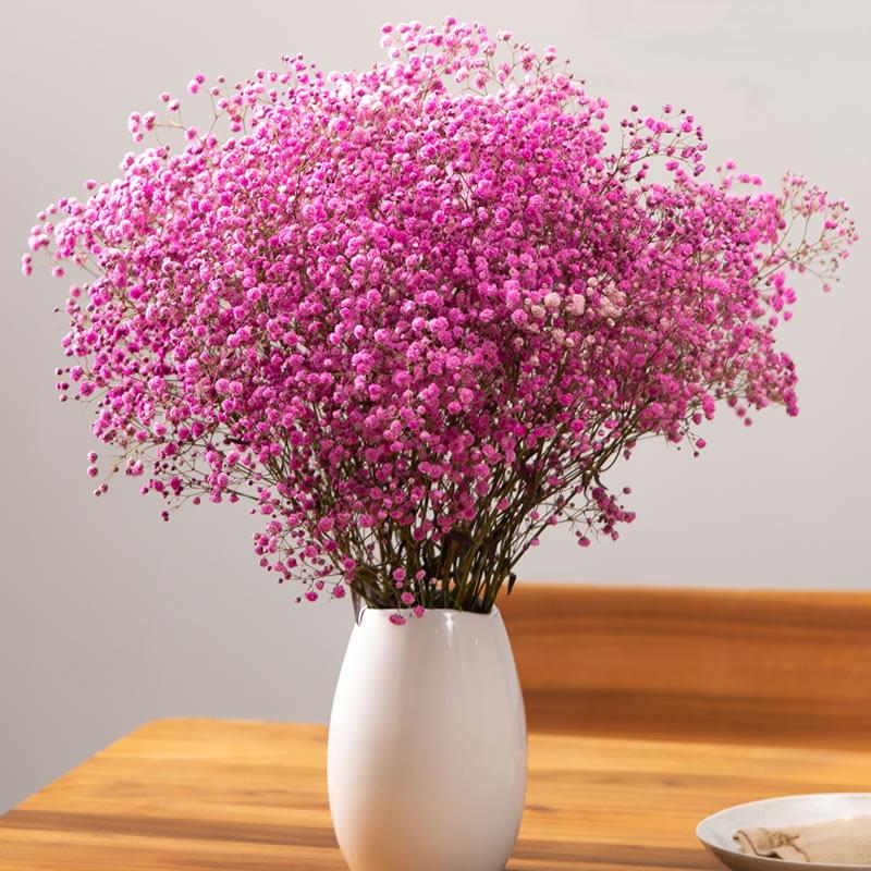 满天星永生花高级感真花客厅摆设装饰摆饰云南天然高端干 干燥花