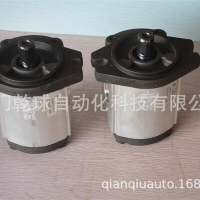 02ZCG25N438ADN油泵RONZIO型号一经确认非质量问题不允许退货