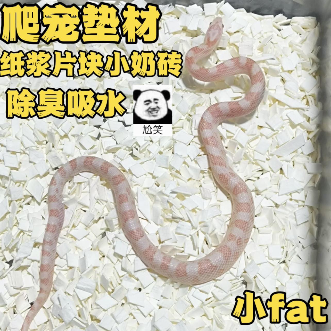 爬宠垫材纸浆片块小奶砖纸粒木屑除臭吸水爬宠玉米猪鼻王垫料