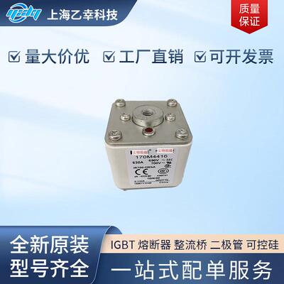 巴斯曼熔断器 170M4408 170M4409 170M4410 170M4411 170M4412