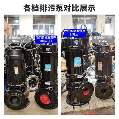 国标重型电CUR泵污工程款潜水泵排污泵水污物潜水耦合装置立式污