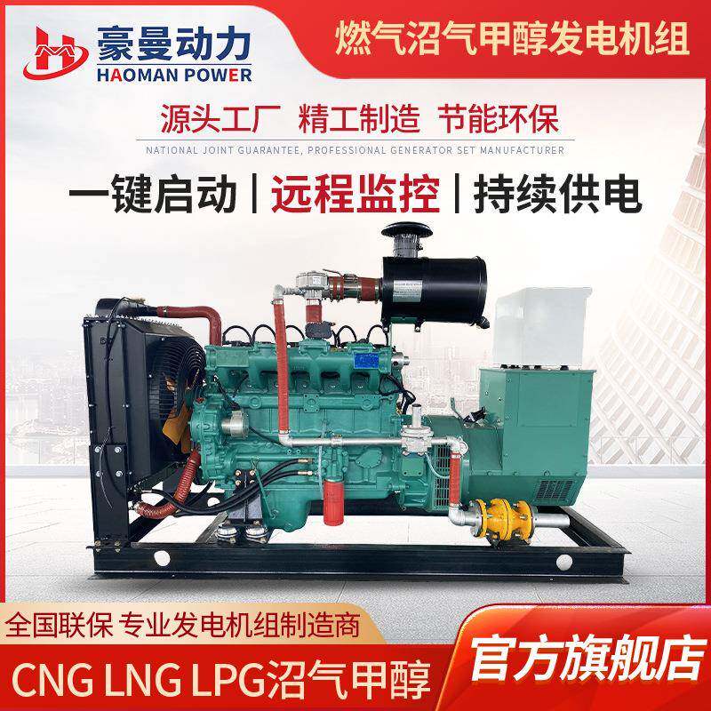 50KWCNGLNG燃气发电机组LPG石油液化气养殖场用50千瓦沼气发电机