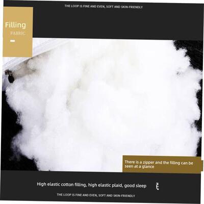 Throw Pillows Sofa Couch Cushion Decorative Pillow insert枕