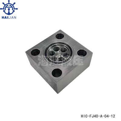 船舶舱盖液压单向阀HIC-FJ40-A-04-12