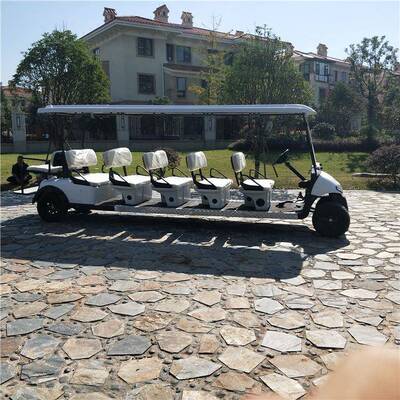 ClubCar先驱高尔夫球车款式无极变速汽油发动机00排量燃油观光车
