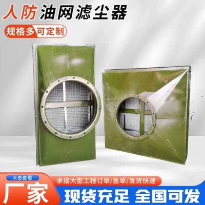 D型X型油网过滤器 人防通风设备LWP立式油网除尘器卧式净化除尘器