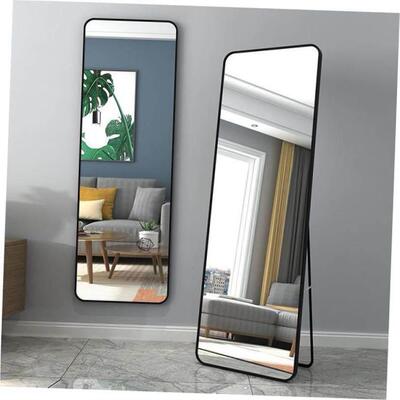 metal frame rack full-body mirror wall mirrow Bedroom mirror